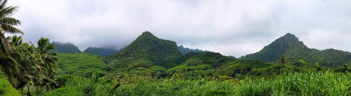 Cook Island Trust: A Guide to Offshore Asset Protection