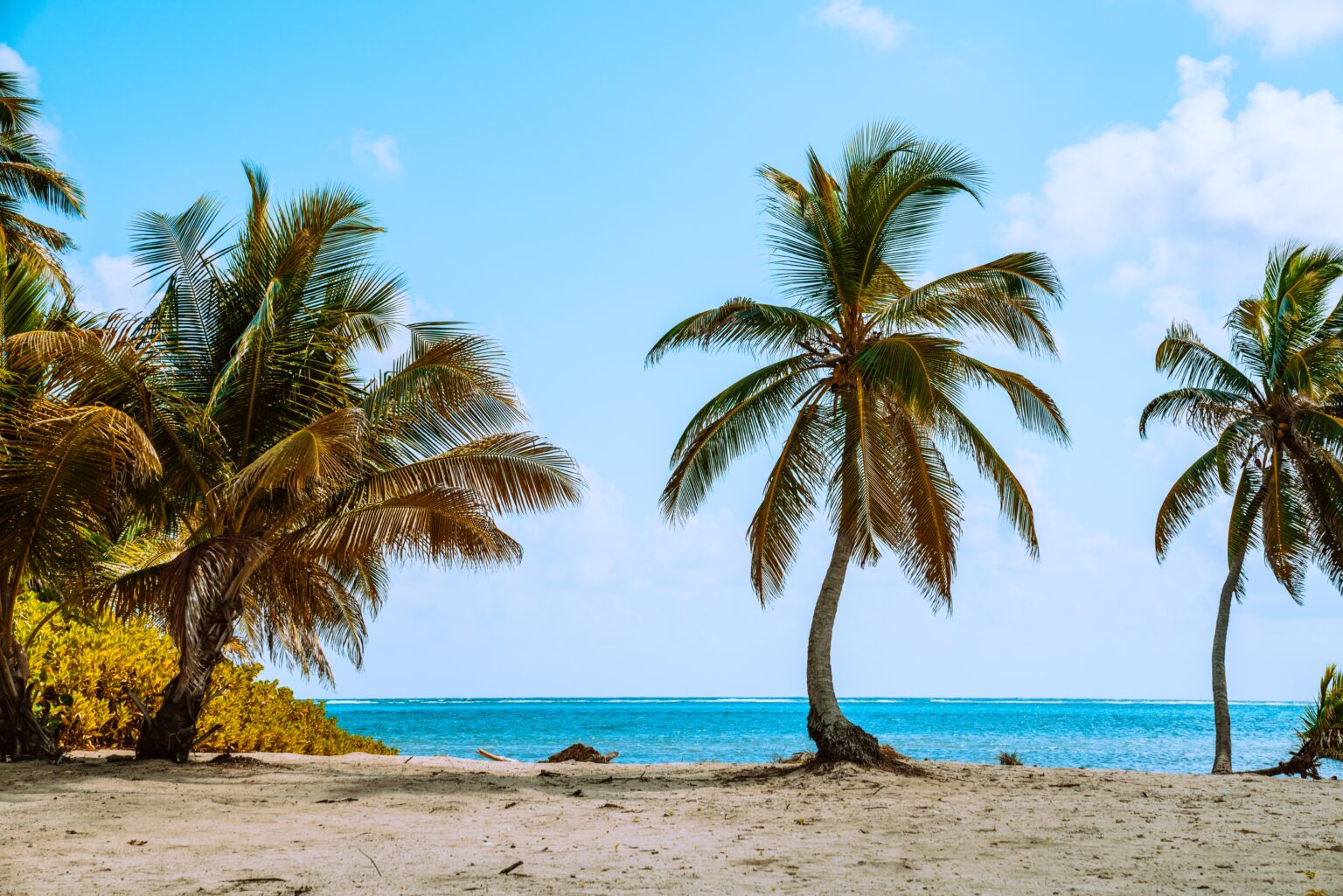 Cook Island Trust
